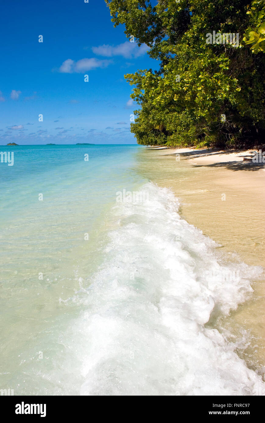Palmen insel tropischen strand wellen -Fotos und -Bildmaterial in hoher ...
