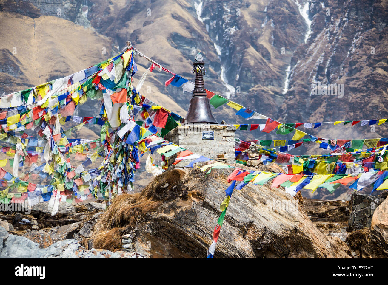 Alex macintyre -Fotos und -Bildmaterial in hoher Auflösung – Alamy