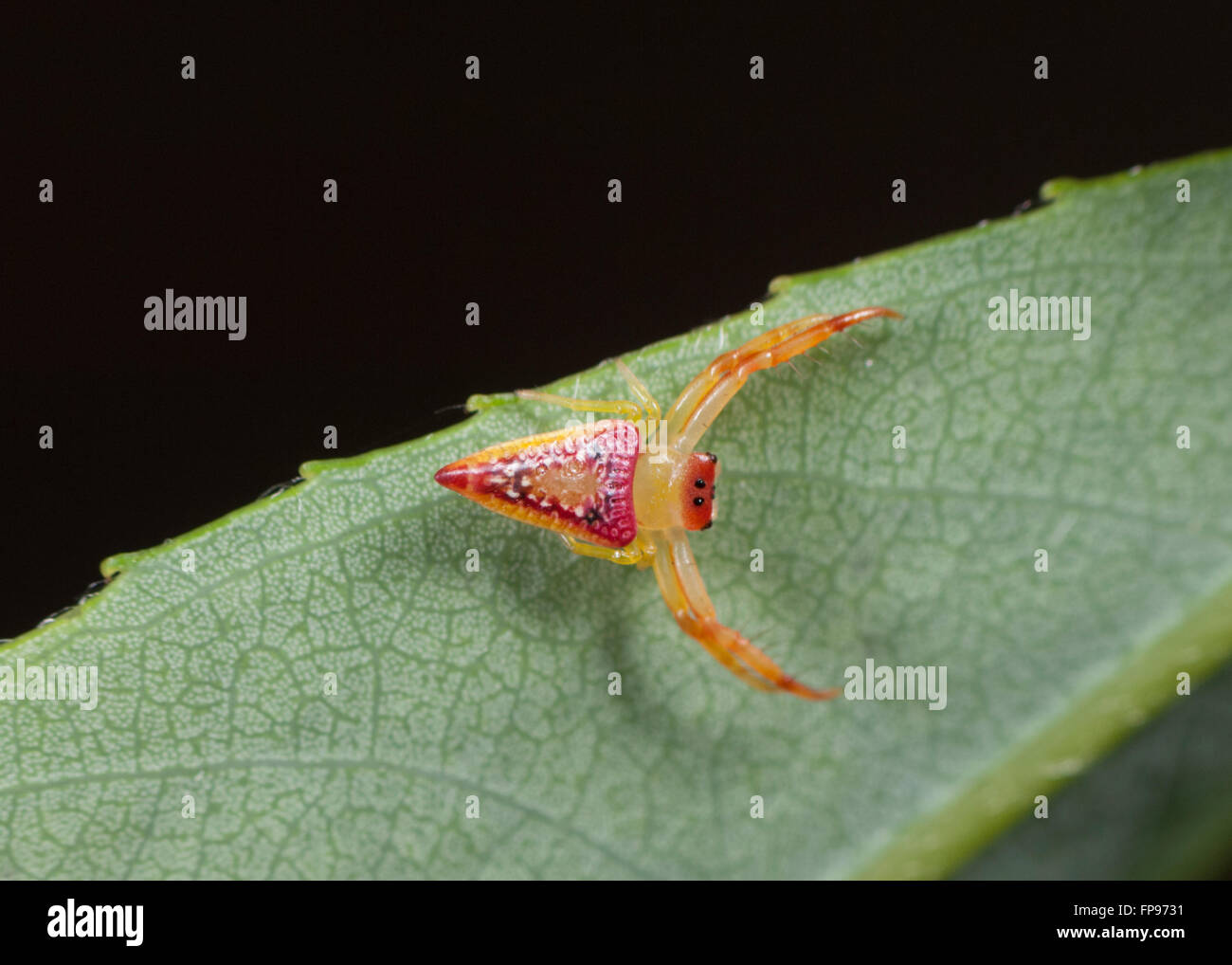 Dreieckiges detail -Fotos und -Bildmaterial in hoher Auflösung – Alamy