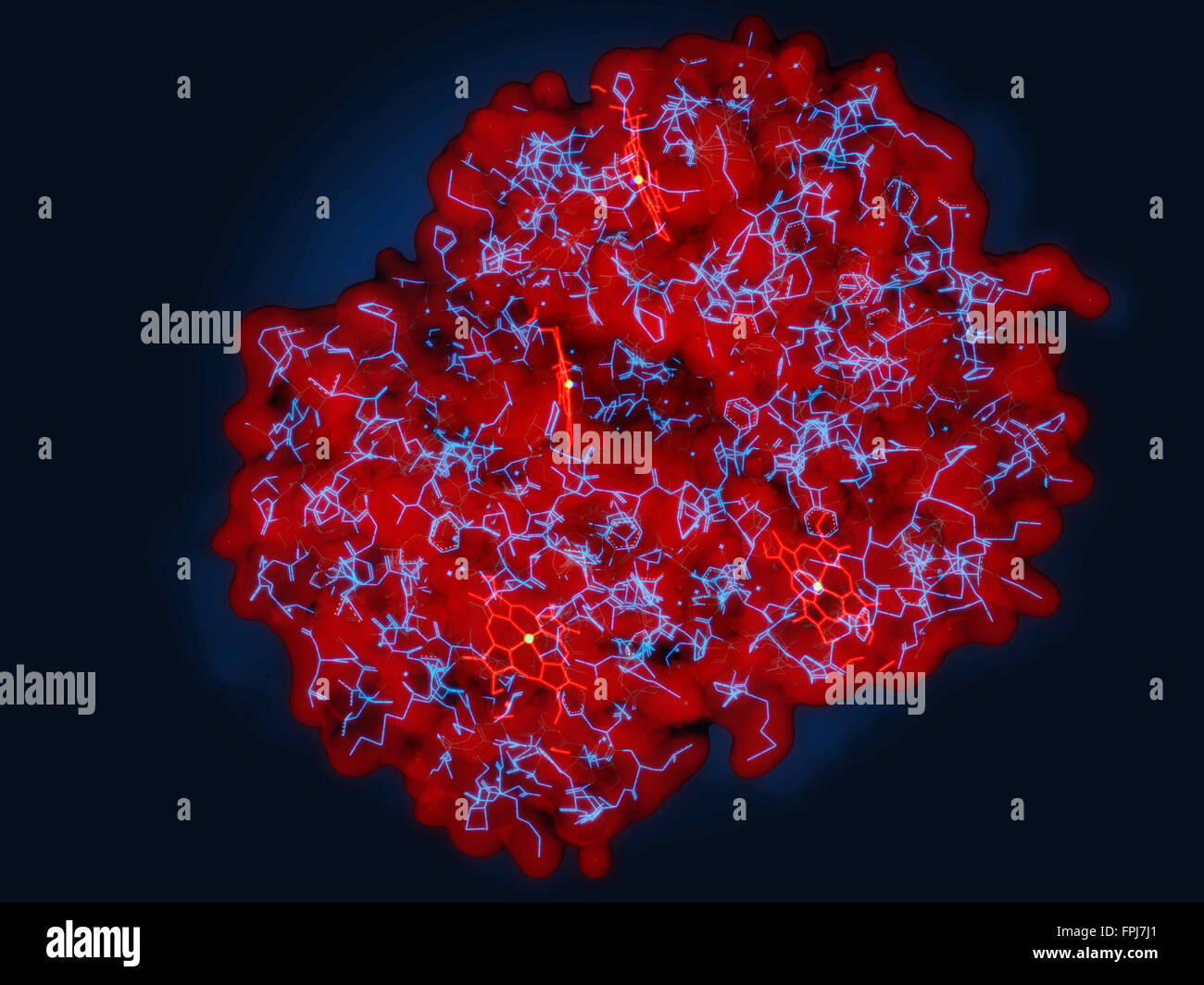 Hemoglobin molecule -Fotos und -Bildmaterial in hoher Auflösung – Alamy