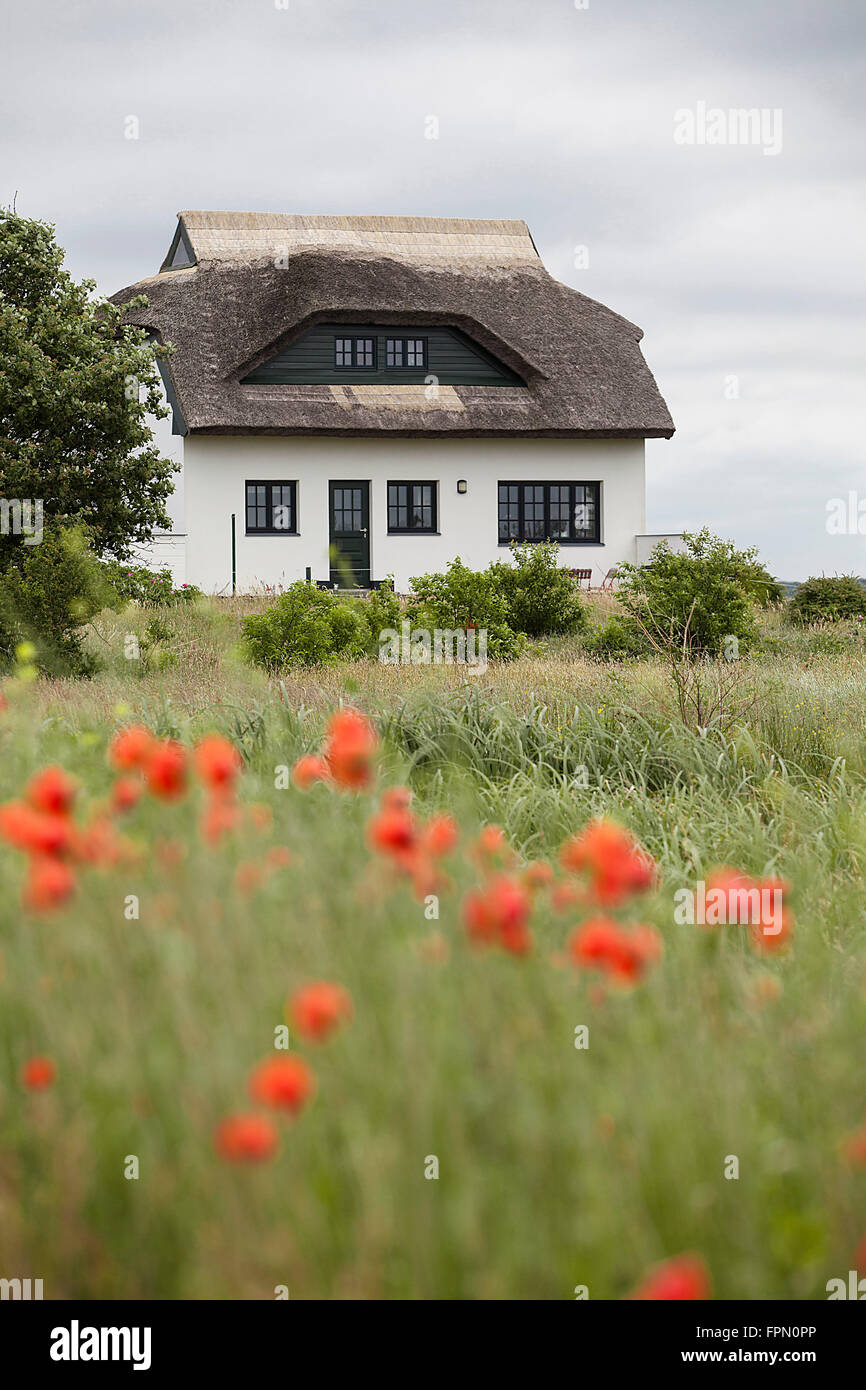 Hiddensee island thatched house -Fotos und -Bildmaterial in hoher ...