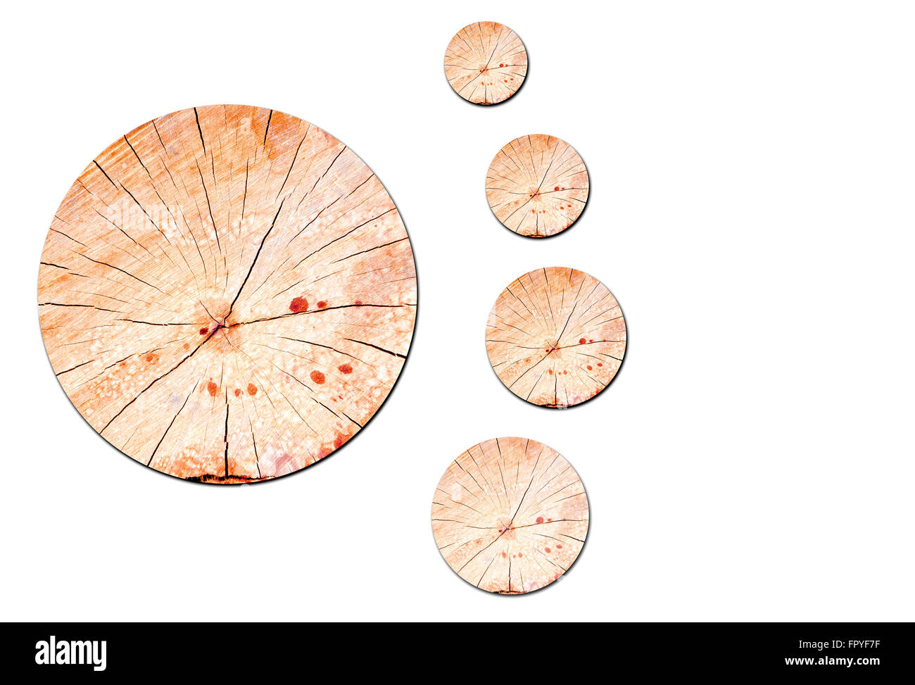 Holz textur hintergrundtextur aus holz detail Ausgeschnittene ...