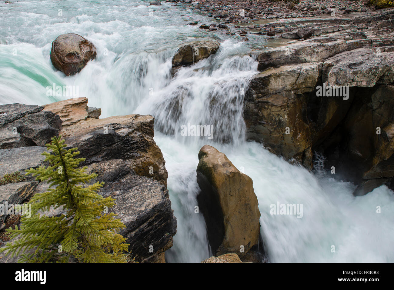Sunwapta River Stockfotos und -bilder Kaufen - Alamy
