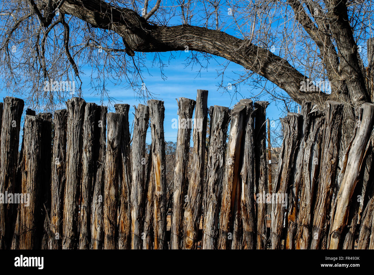 Baum Zweig Zaun in Santa Fe Stockfotografie - Alamy
