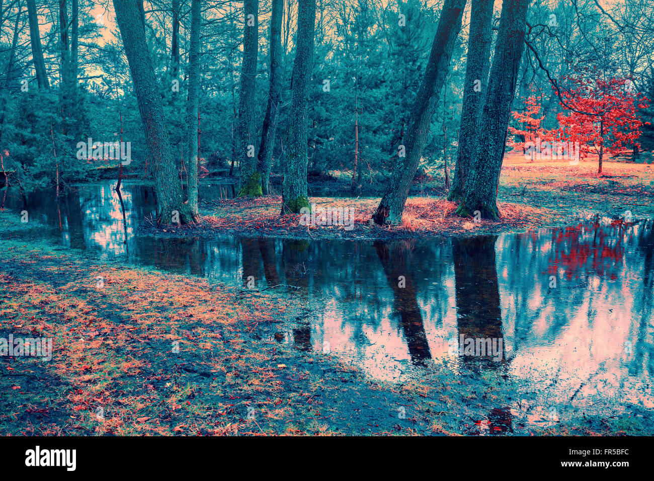 Vintage wald -Fotos und -Bildmaterial in hoher Auflösung – Alamy