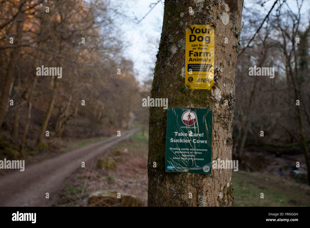 Zugangscode zeichen -Fotos und -Bildmaterial in hoher Auflösung – Alamy