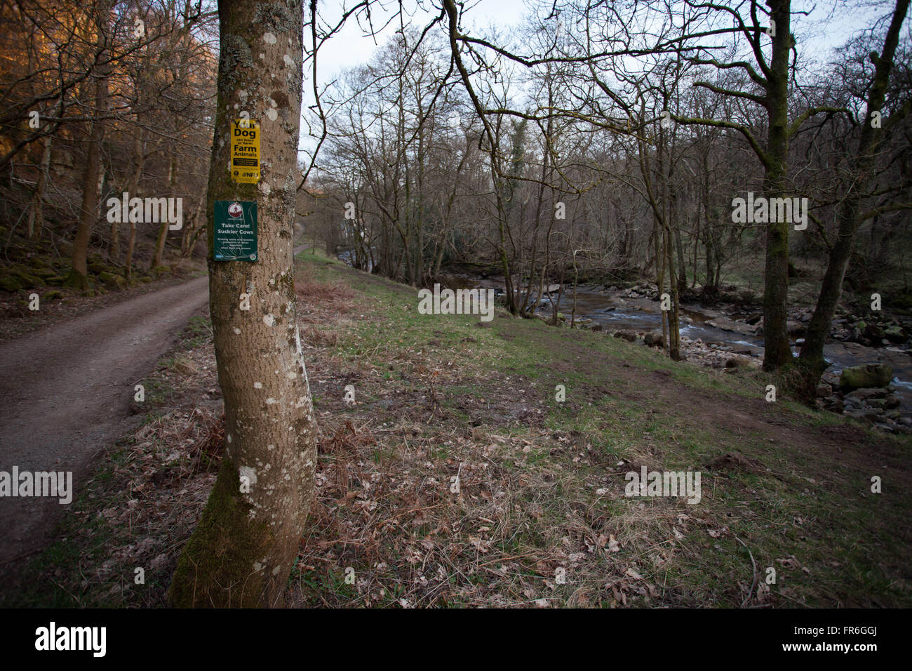 Zugangscode zeichen -Fotos und -Bildmaterial in hoher Auflösung – Alamy