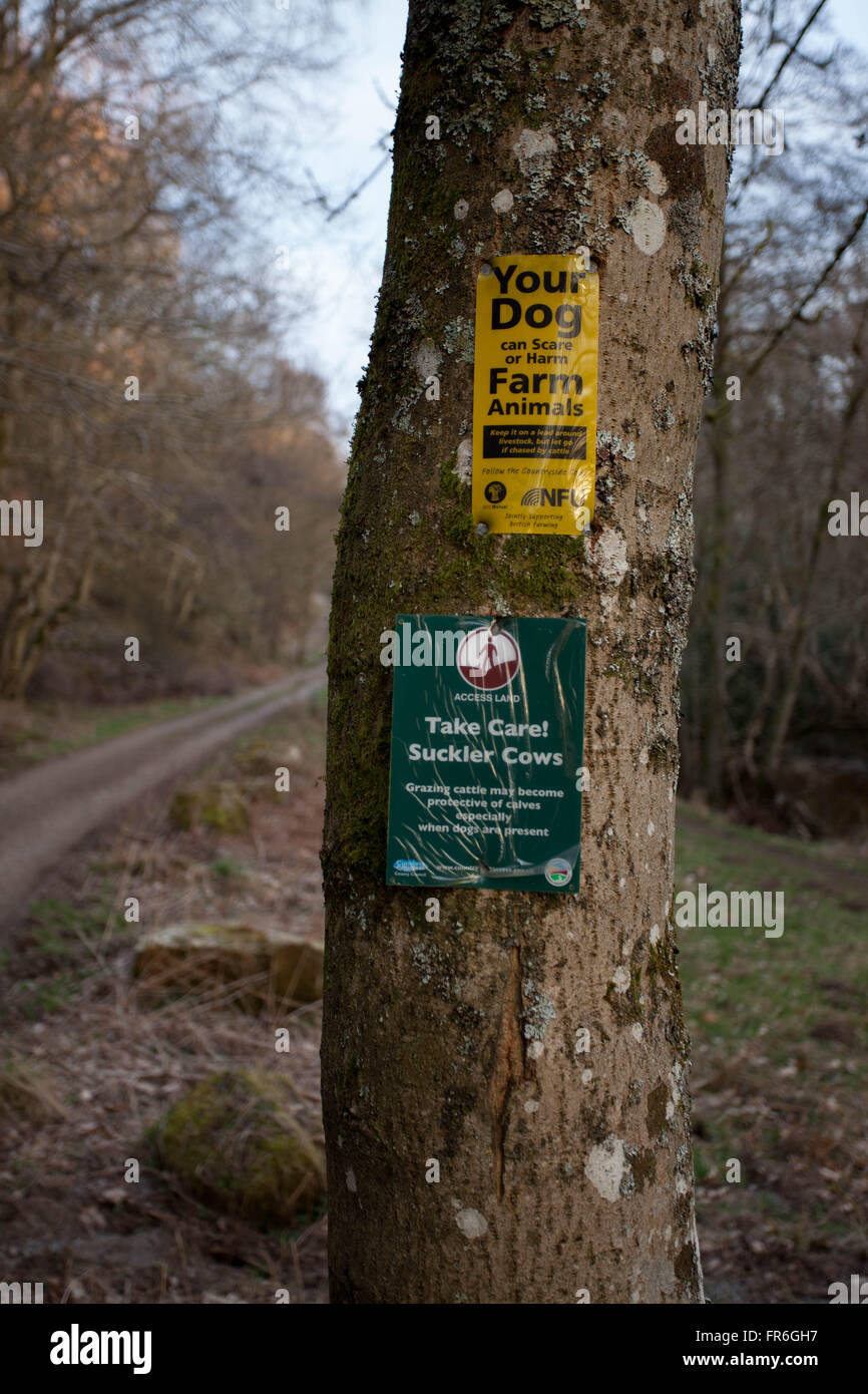 Zugangscode zeichen -Fotos und -Bildmaterial in hoher Auflösung – Alamy
