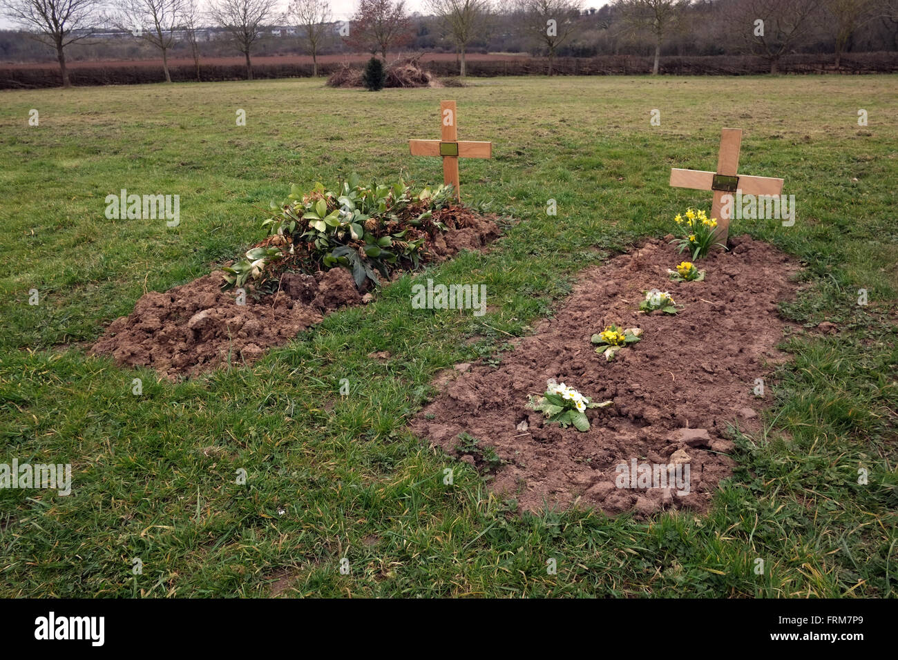 Frische gräber -Fotos und -Bildmaterial in hoher Auflösung – Alamy