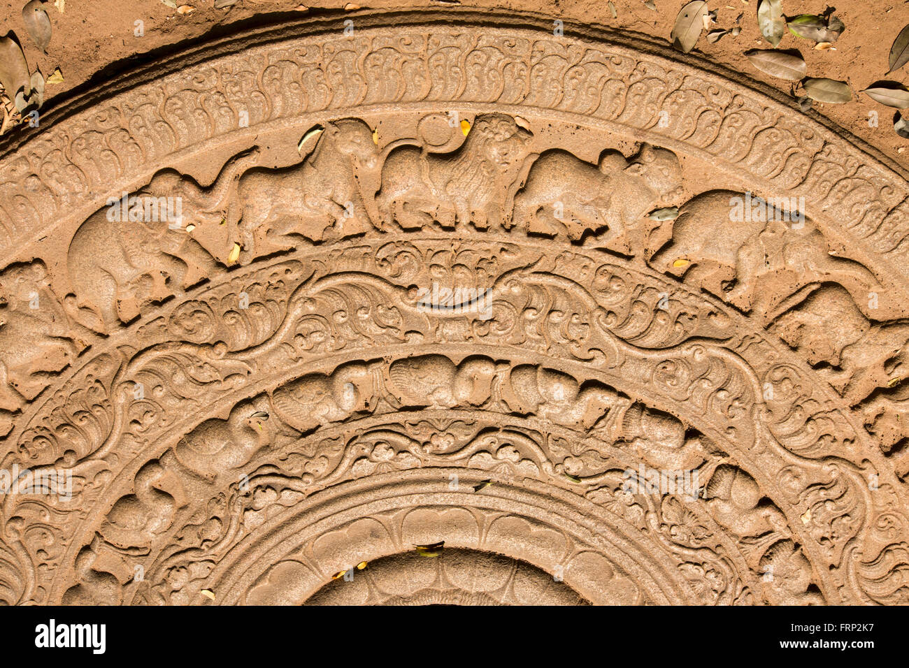 Liyavel -Fotos und -Bildmaterial in hoher Auflösung – Alamy