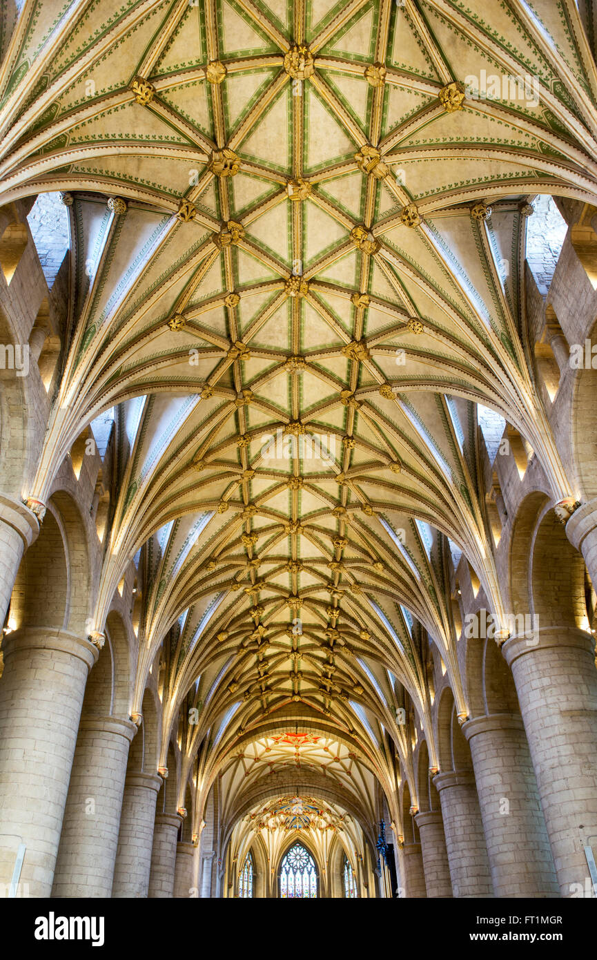 Das Kirchenschiff gewölbte Decke in Tewkesbury Abbey. Tewkesbury ...