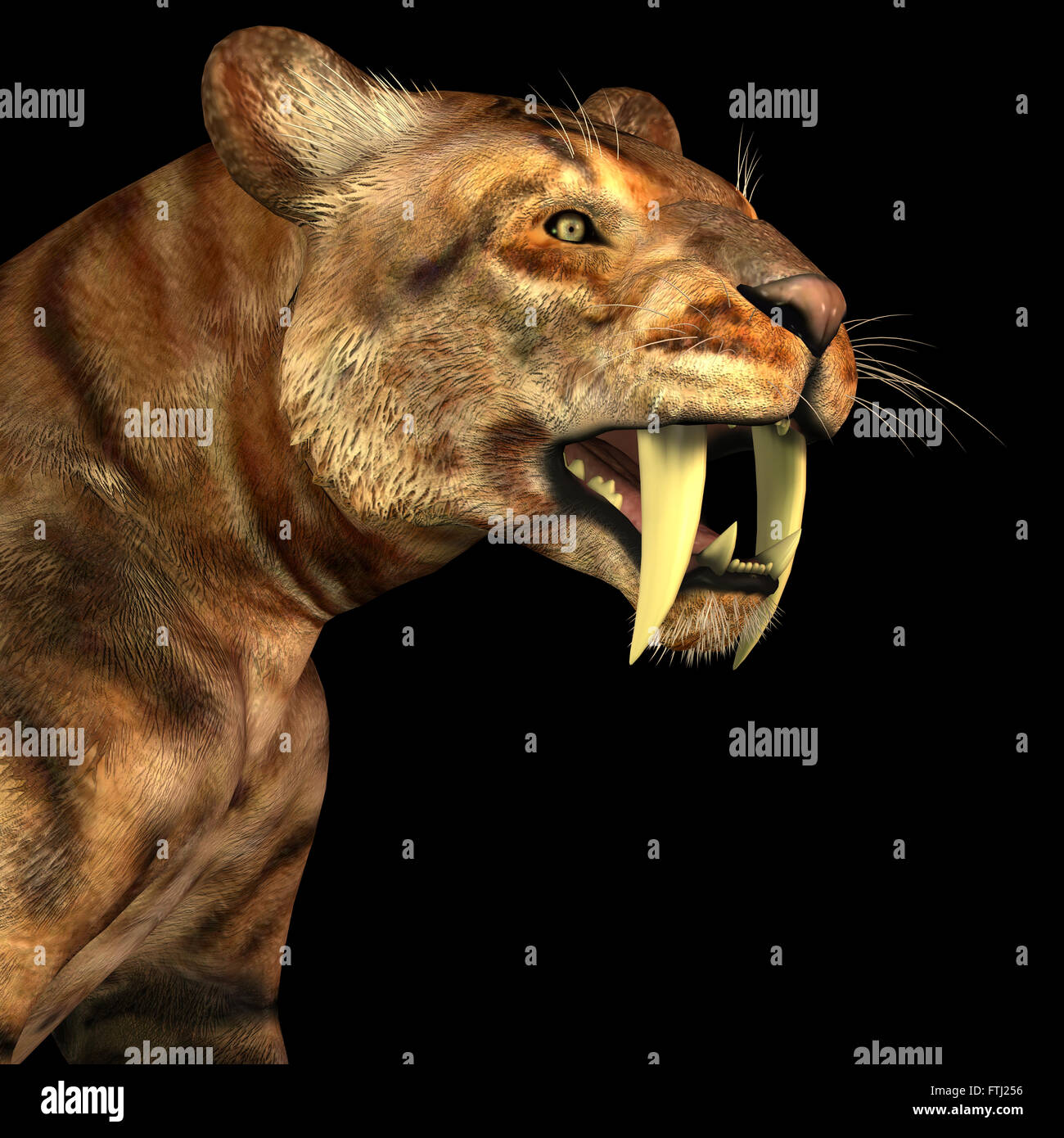 Smilodon cat feline -Fotos und -Bildmaterial in hoher Auflösung – Alamy