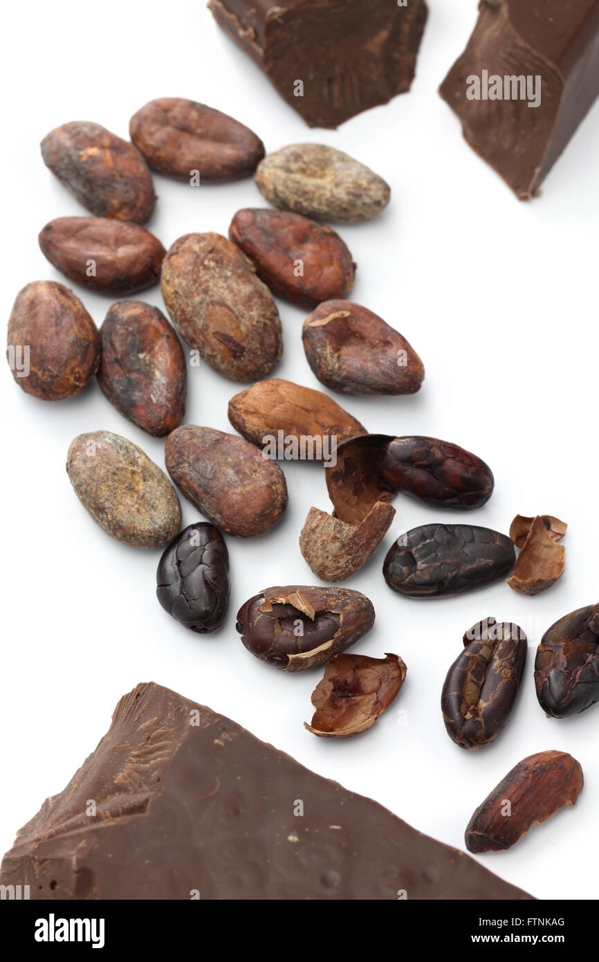 Rohe Kakaobohnen, geröstete Kakaobohnen und Schokolade auf weißem ...