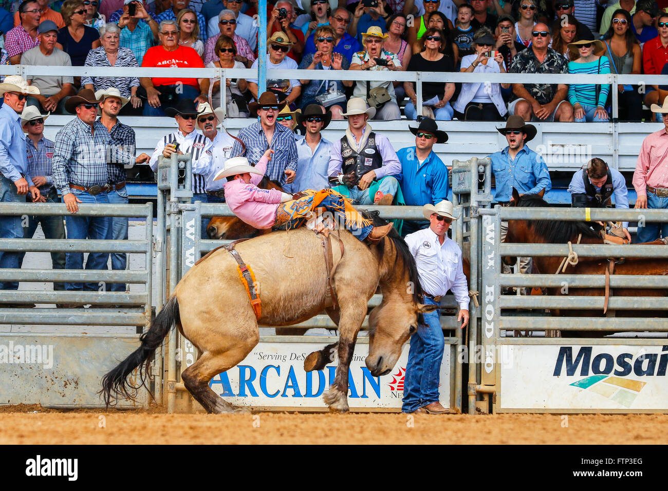 Rodeo cowboy mit pferd -Fotos und -Bildmaterial in hoher Auflösung – Alamy