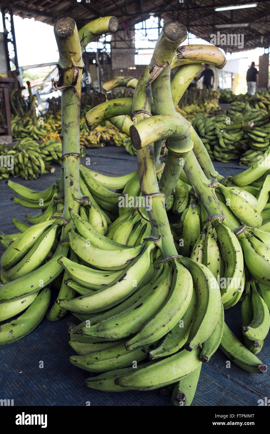 Stadtzentrum messe -Fotos und -Bildmaterial in hoher Auflösung – Alamy