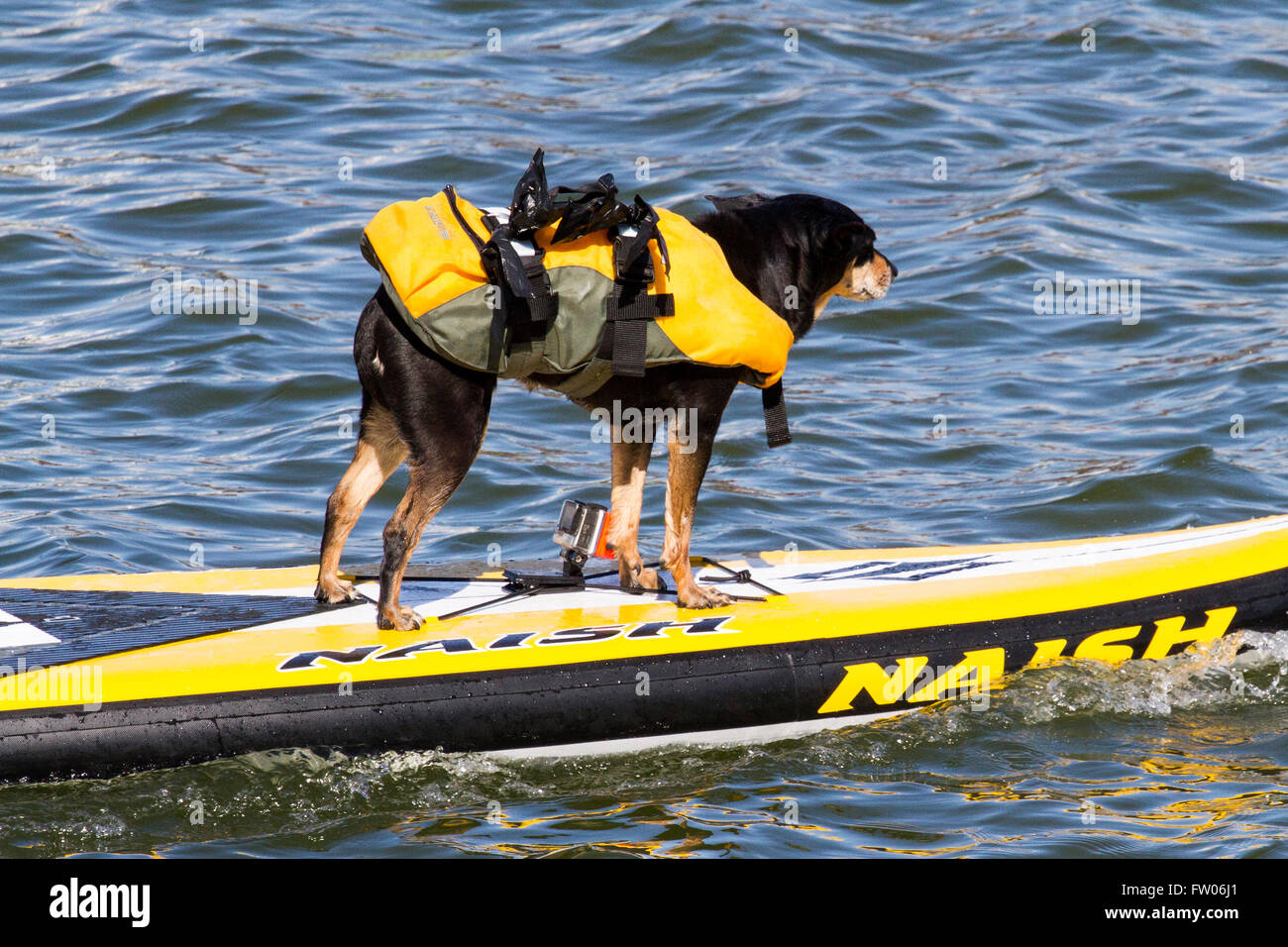 Sarah louise young -Fotos und -Bildmaterial in hoher Auflösung – Alamy