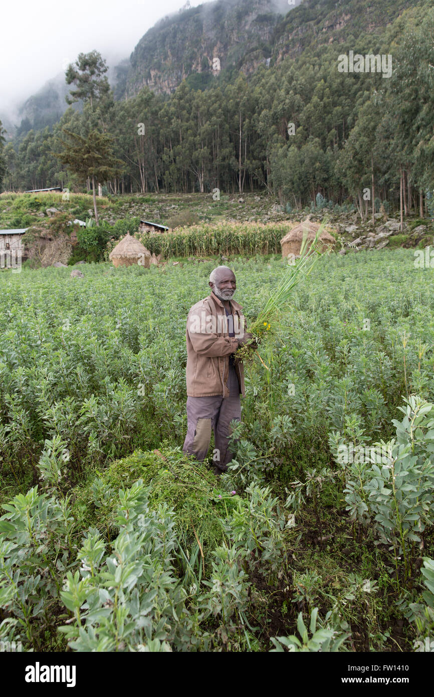 Alter sina -Fotos und -Bildmaterial in hoher Auflösung – Alamy