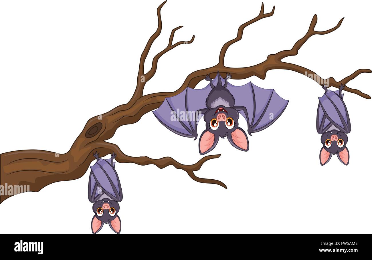 Cartoon fledermaus Ausgeschnittene Stockfotos und -bilder - Alamy