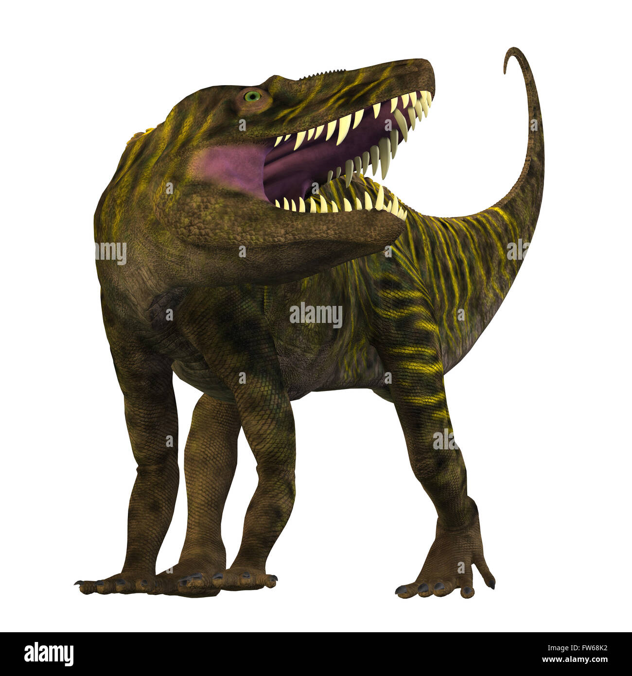 Batrachotomus kupferzellensis -Fotos und -Bildmaterial in hoher ...