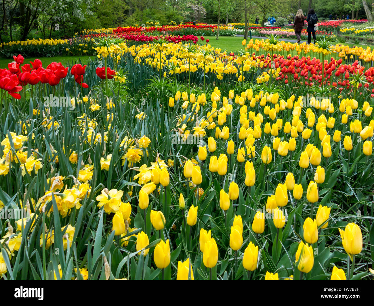 Narzissen und tulpe Stockfotos und -bilder Kaufen - Seite 2 - Alamy