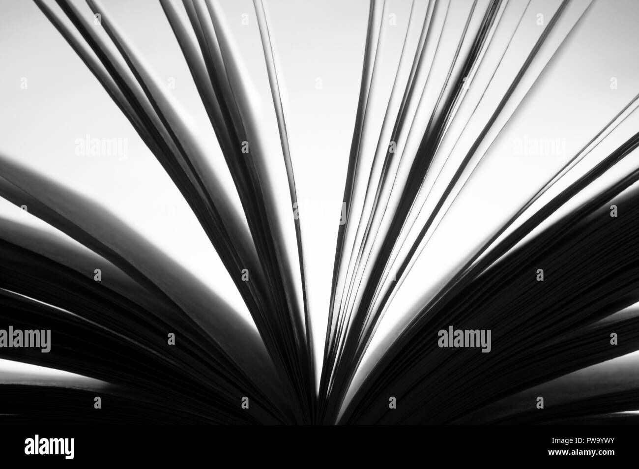 Education detail Schwarzweiß-Stockfotos und -bilder - Alamy