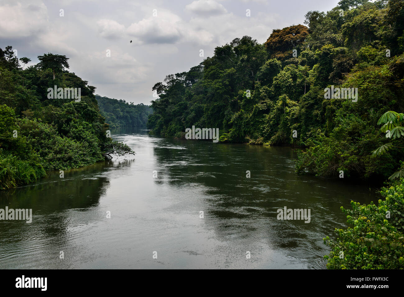 Die Flüsse in den Regenwald, Gabun, Zentralafrika Stockfotografie - Alamy