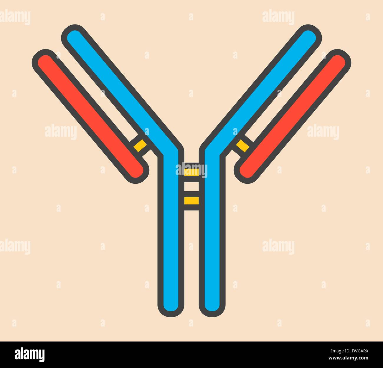 Efalizumab -Fotos und -Bildmaterial in hoher Auflösung – Alamy