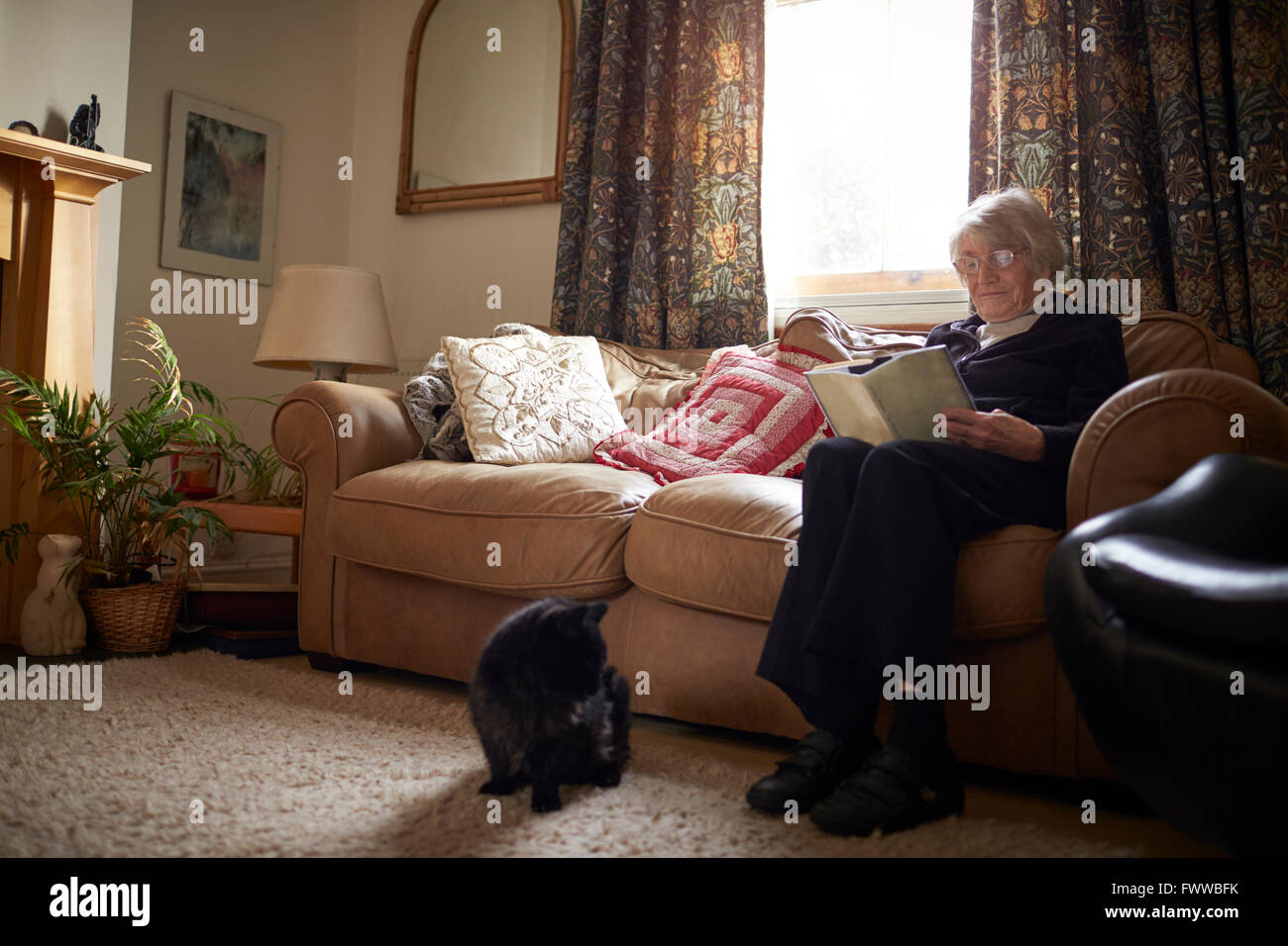 Alte frau katze -Fotos und -Bildmaterial in hoher Auflösung – Alamy