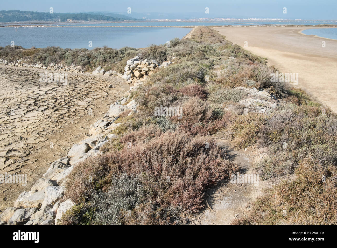 Etang layrolle -Fotos und -Bildmaterial in hoher Auflösung – Alamy
