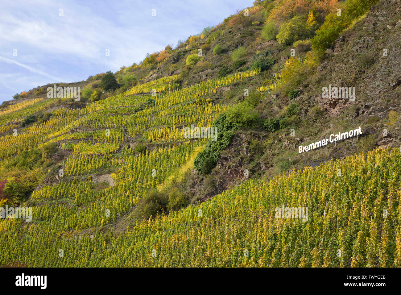 Steilhang Weinberg Stockfotos und -bilder Kaufen - Alamy
