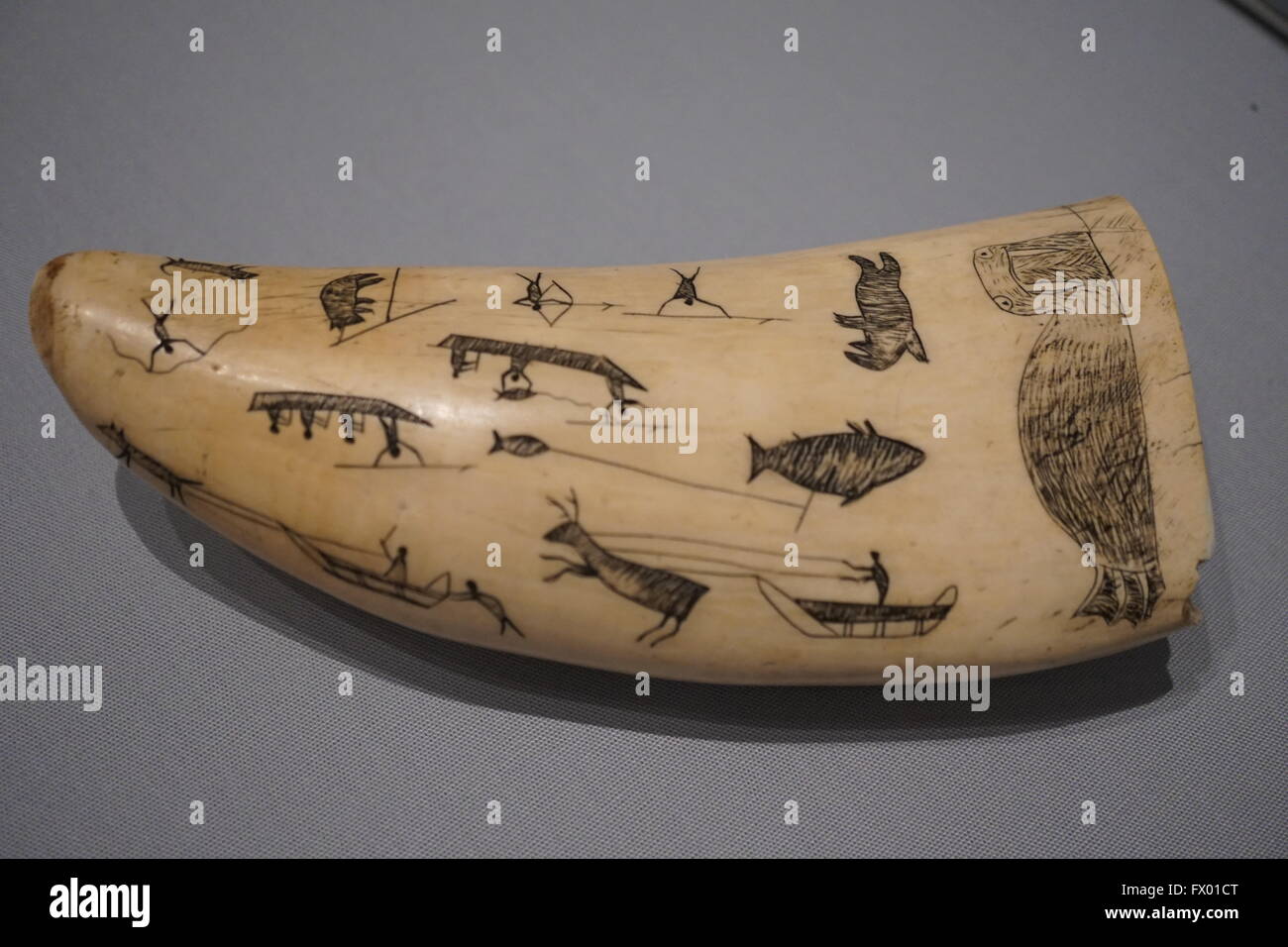 Eskimo sled -Fotos und -Bildmaterial in hoher Auflösung – Alamy