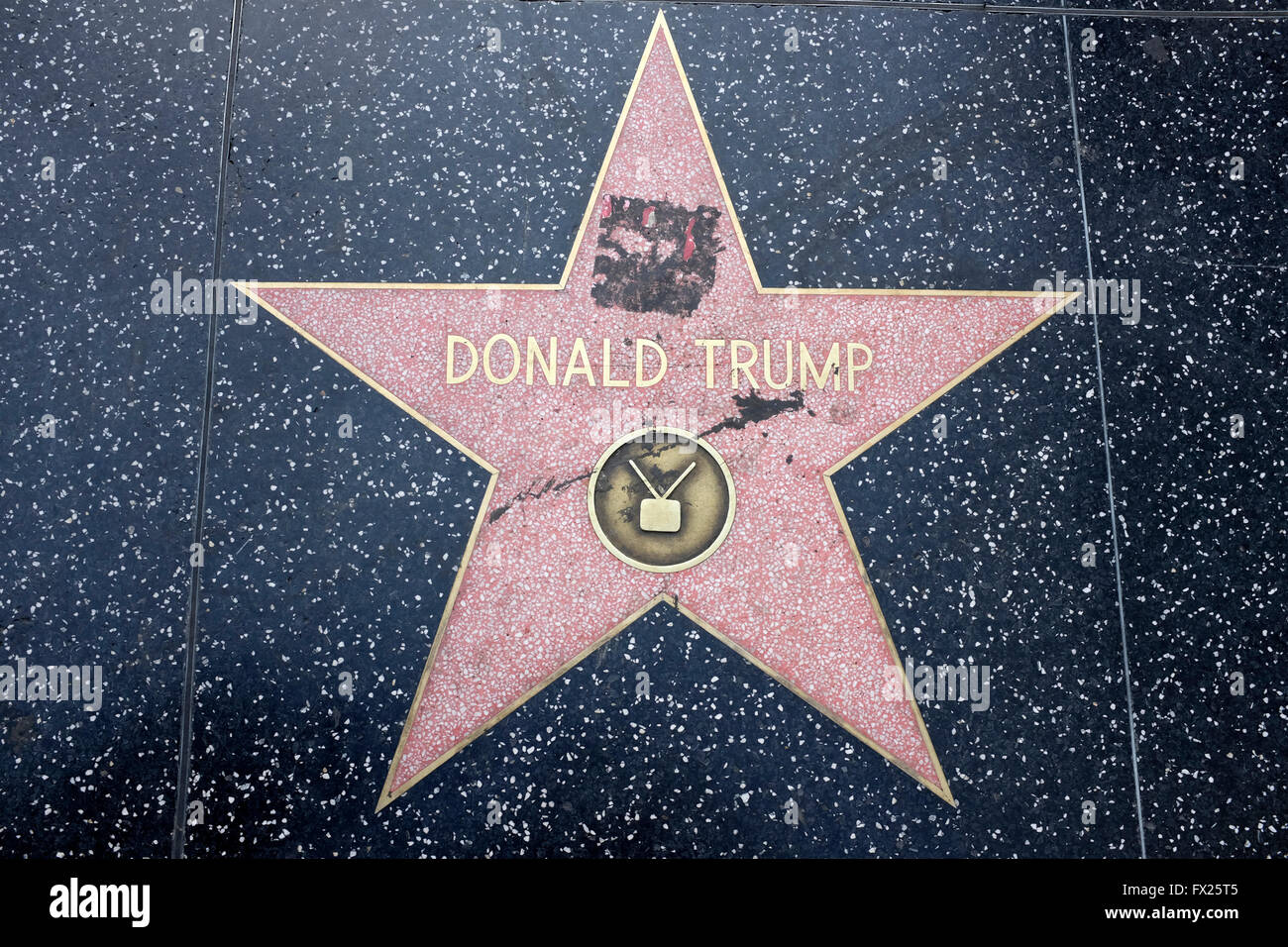 Donald Trump Stern auf dem Hollywood Walk of Fame, Los Angeles ...
