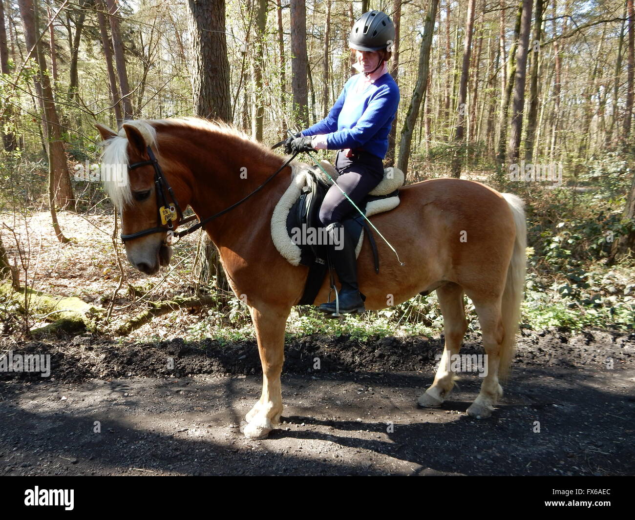 Pferdestall mädchen -Fotos und -Bildmaterial in hoher Auflösung – Alamy