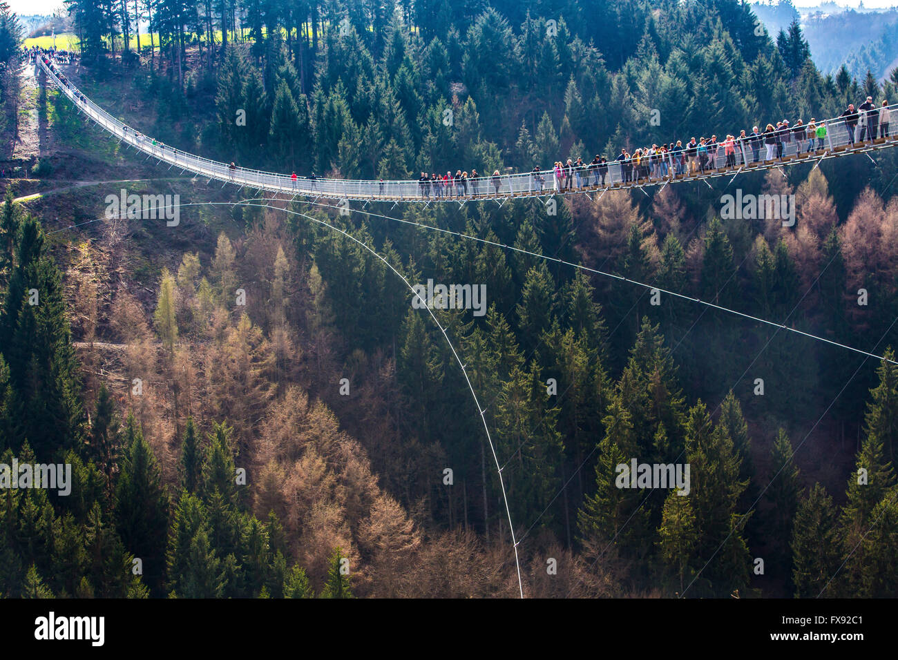 Hängebrücke-Geierlay, zwischen den Dörfern Mörsdorf und Sosberg, 360 ...