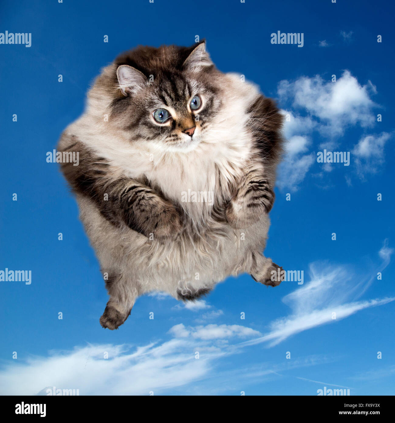 Lustige wolken -Fotos und -Bildmaterial in hoher Auflösung – Alamy