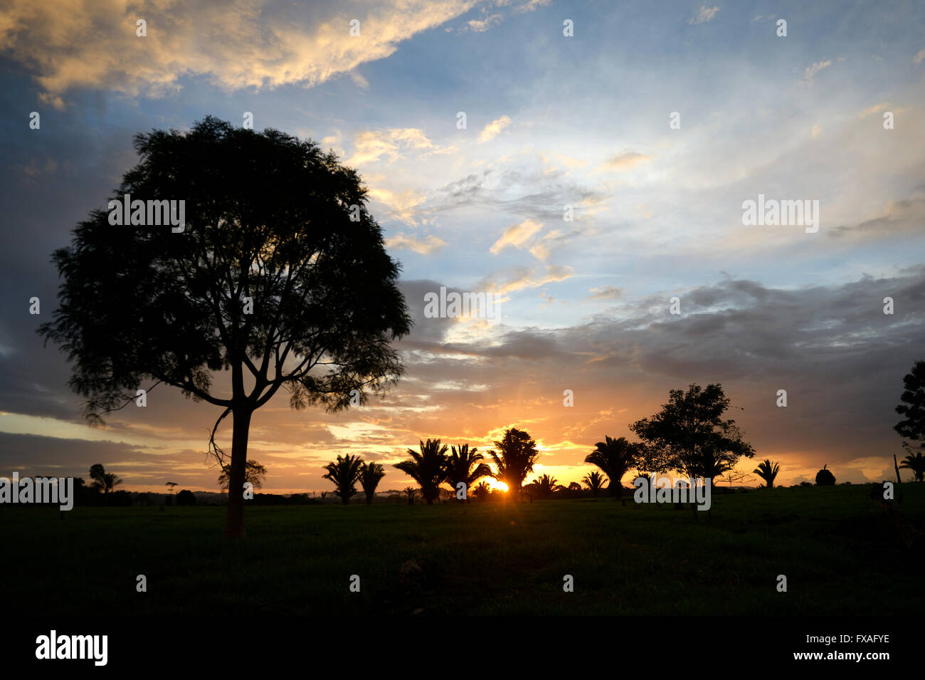 Amazonas Regenwald Sonnenuntergang Stockfotos und -bilder Kaufen - Alamy Amazonas Regenwald Sonnenuntergang Stockfotos und -bilder Kaufen - Alamy