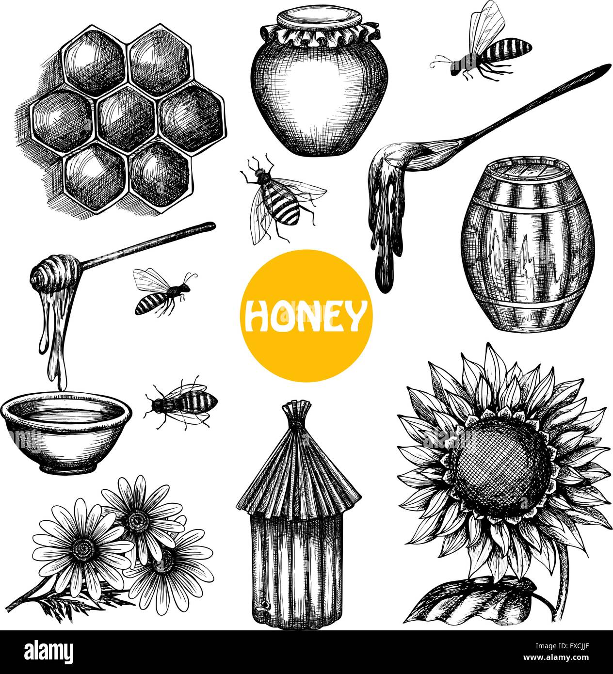 Honig-Set schwarze Hand gezeichnete doodle Stock-Vektorgrafik - Alamy