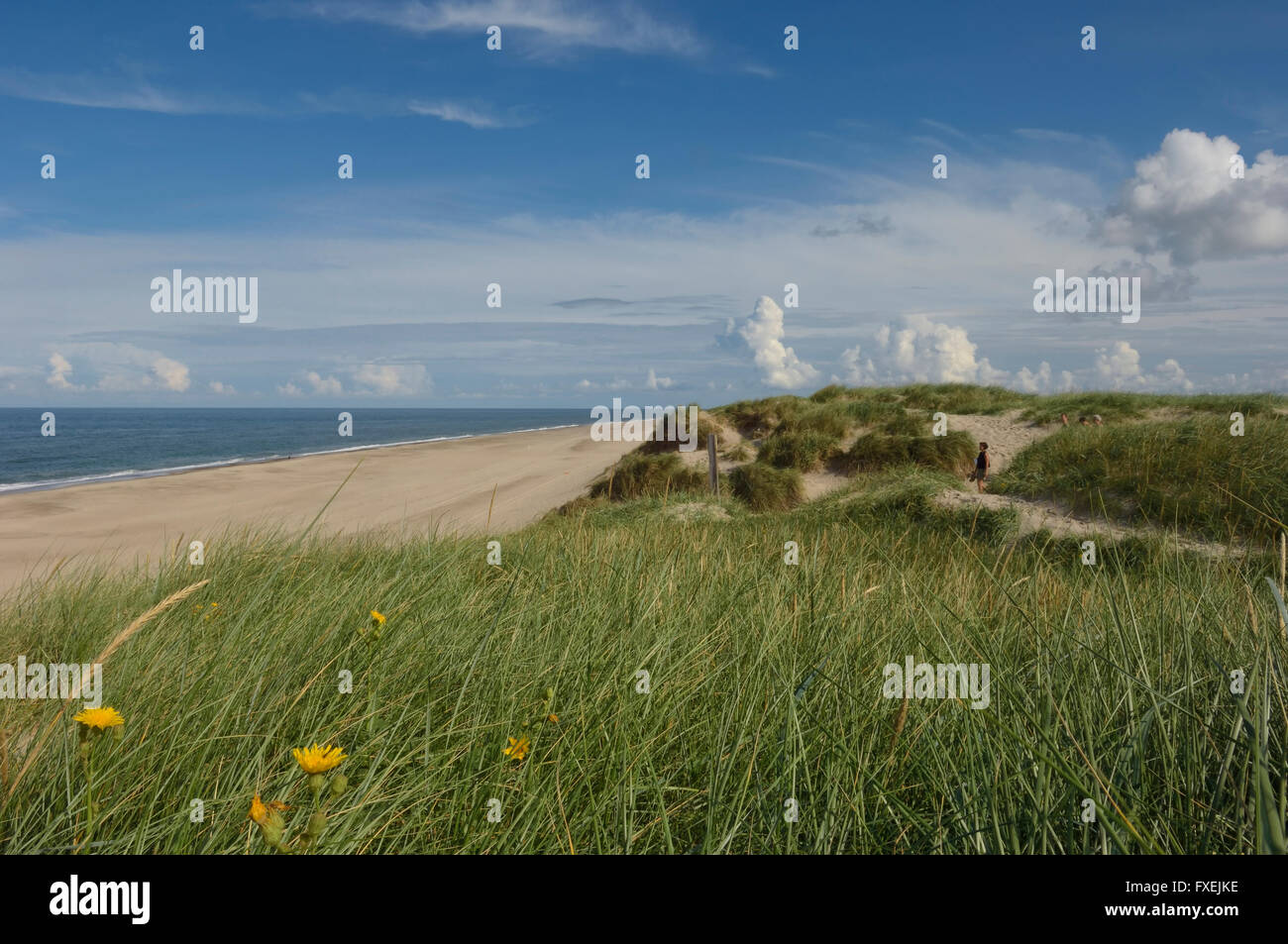 Bjerregård strand -Fotos und -Bildmaterial in hoher Auflösung – Alamy