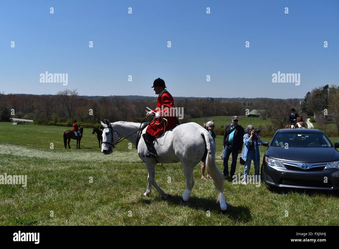 Profi fuchs -Fotos und -Bildmaterial in hoher Auflösung – Alamy