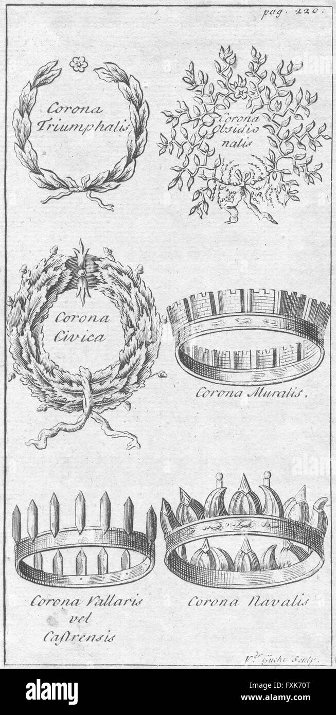 Corona muralis -Fotos und -Bildmaterial in hoher Auflösung – Alamy