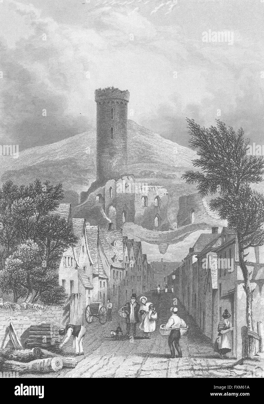 Germany schaefer -Fotos und -Bildmaterial in hoher Auflösung – Alamy