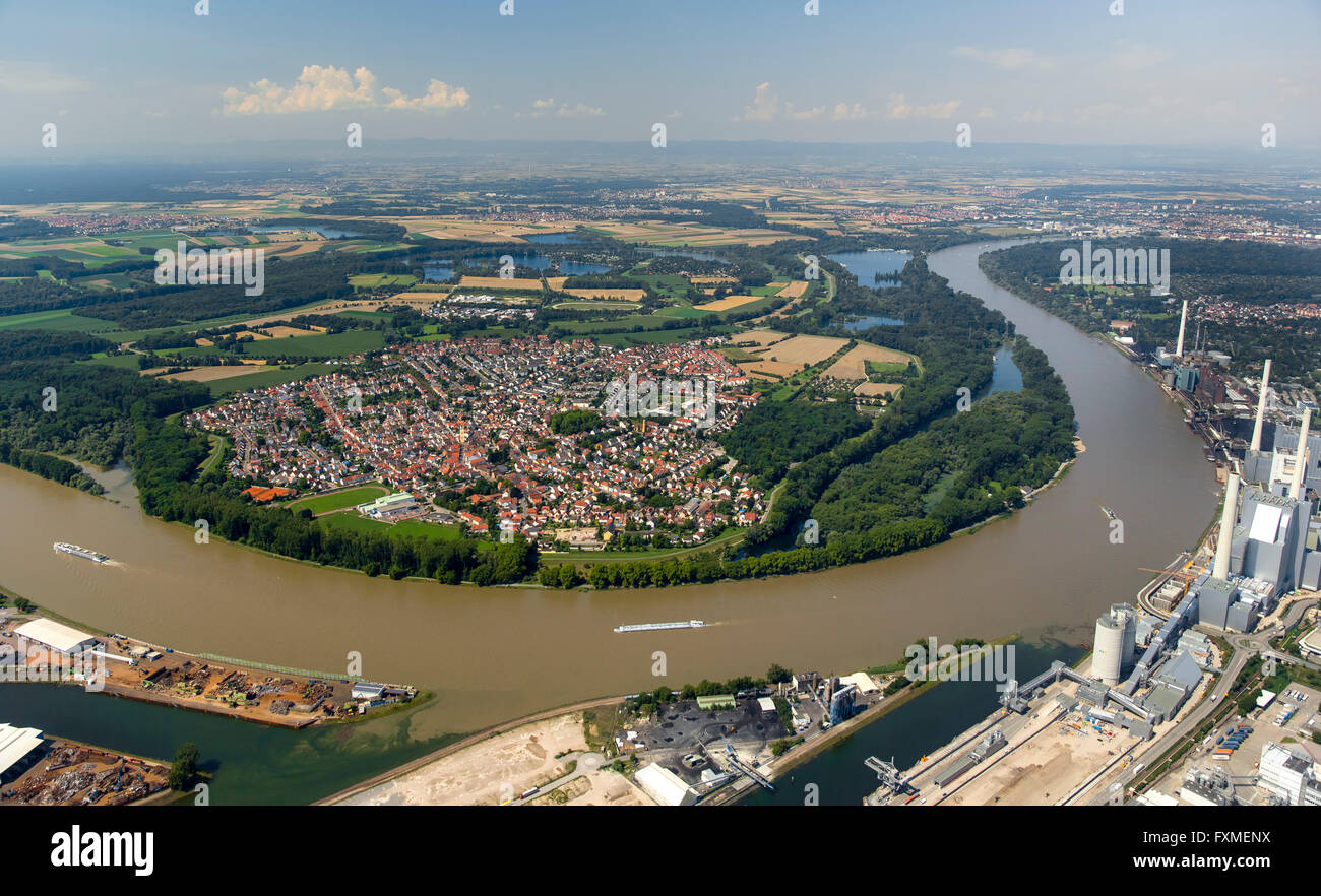 Luftaufnahme, Blick auf Altrip am Rhein von Mannheim, Altrip, Rheinland ...