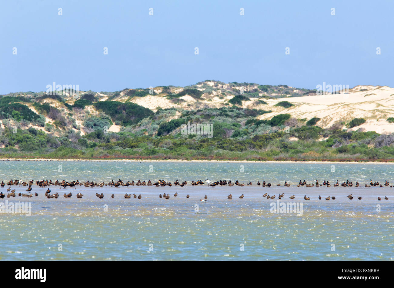 Ramsar site -Fotos und -Bildmaterial in hoher Auflösung – Alamy