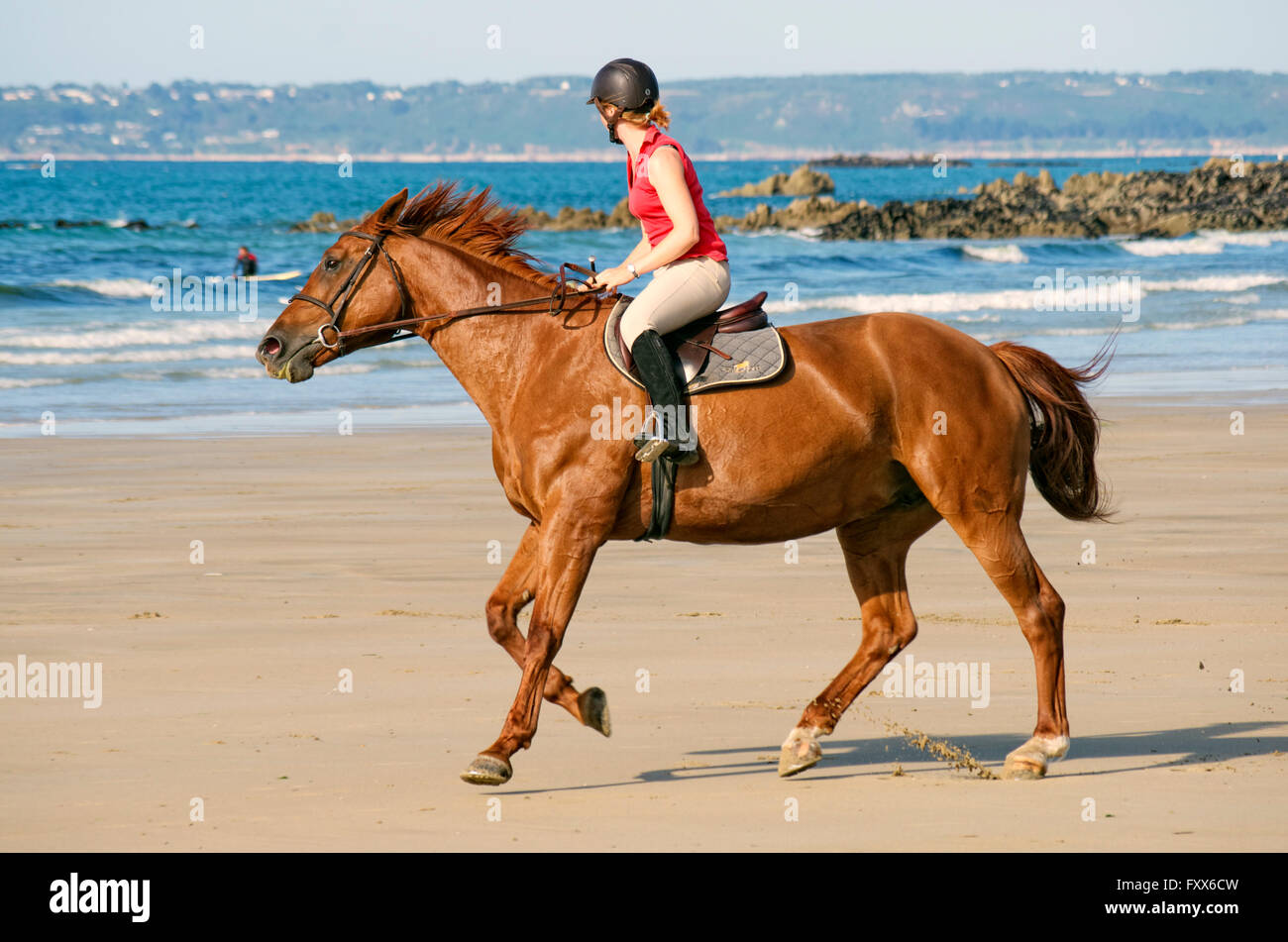 Ein pferd am strand reiten Stockfotos und -bilder Kaufen - Alamy