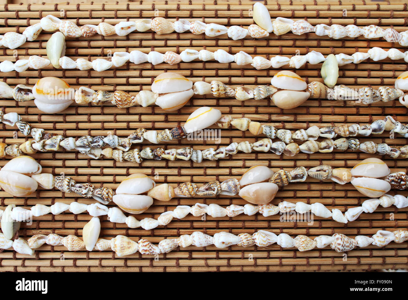 Kaurimuscheln geld -Fotos und -Bildmaterial in hoher Auflösung – Alamy