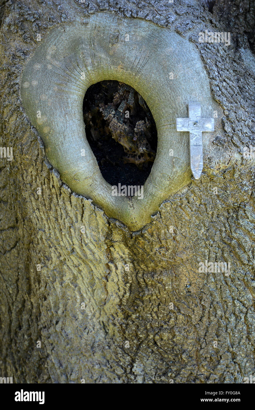 Genagelt um zu kreuzen -Fotos und -Bildmaterial in hoher Auflösung – Alamy