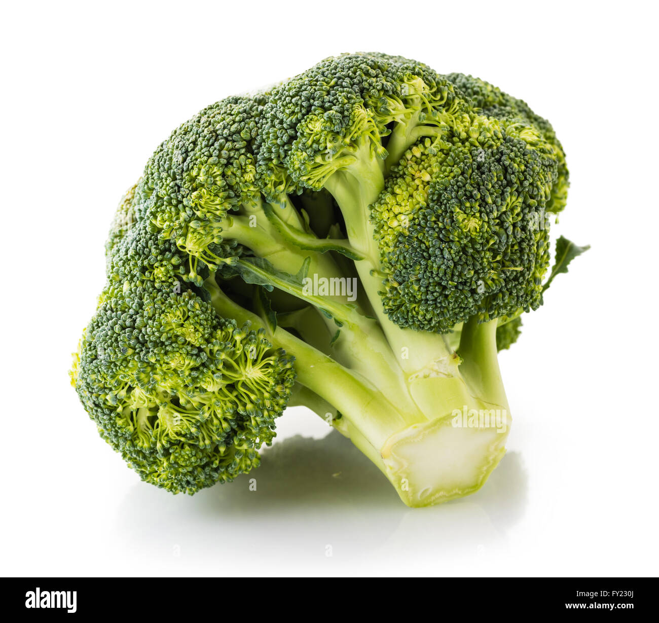 Brokkoli nahaufnahme -Fotos und -Bildmaterial in hoher Auflösung – Alamy