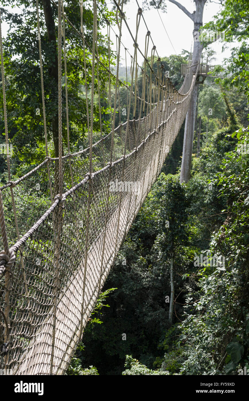 Kakum National Canopy Walkway