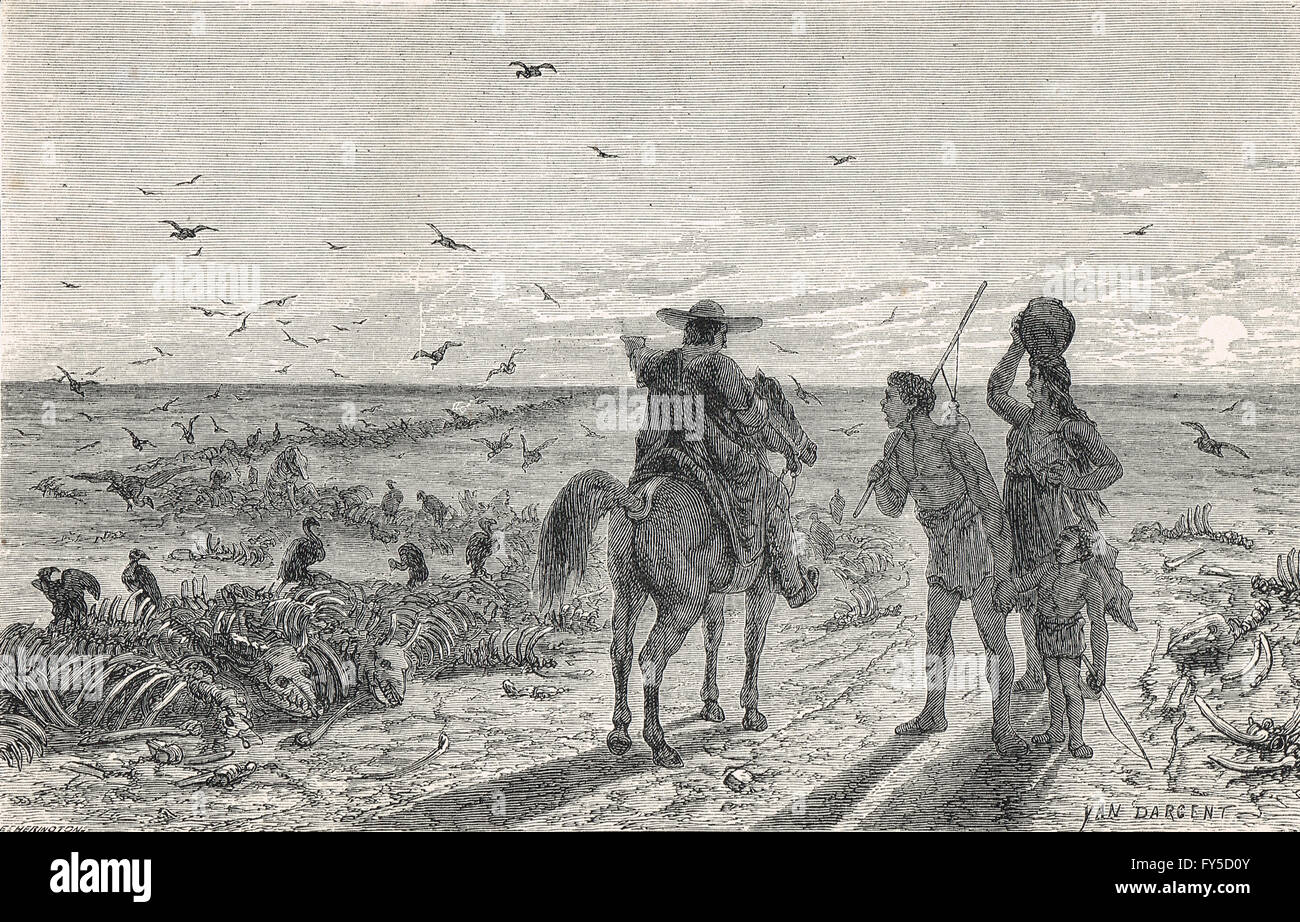 Gravur der geier -Fotos und -Bildmaterial in hoher Auflösung – Alamy