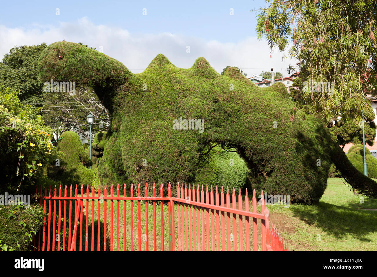 Zarcero Topiary Stockfotos und -bilder Kaufen - Alamy